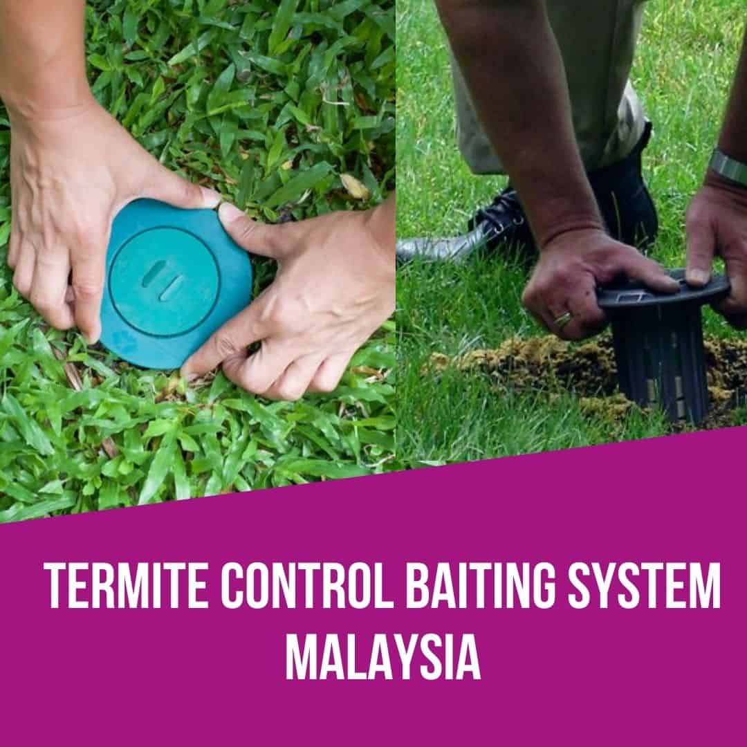 Termite Baiting System Malaysia - Zip Pest Solutions